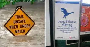 18 Warning Signs That Made Us Laugh Instead of Worry