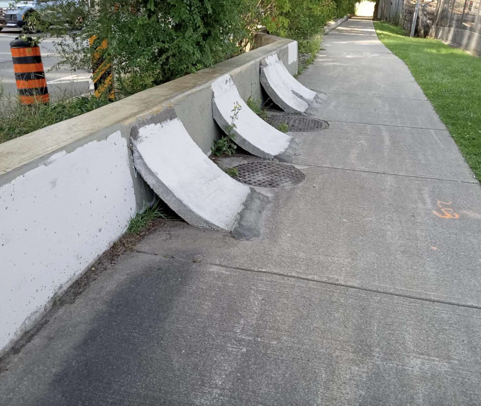 20 Photos of Weird Things People Found