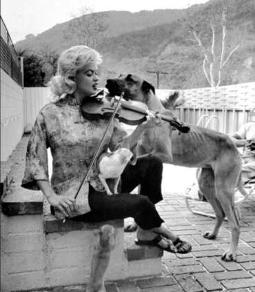 15 Fun Tales about Hollywood's Bombshell Actress, Jayne Mansfield
