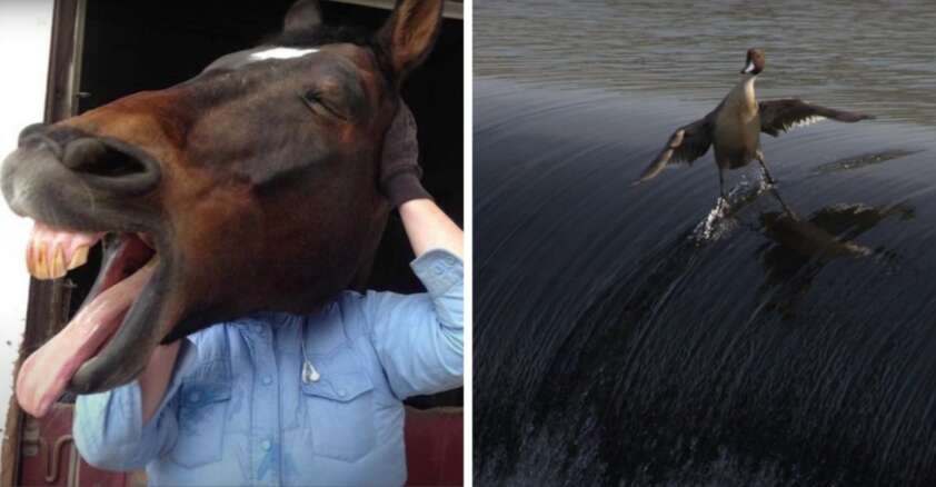 20 Perfectly Timed Moments That Are Hilariously Unbelievable