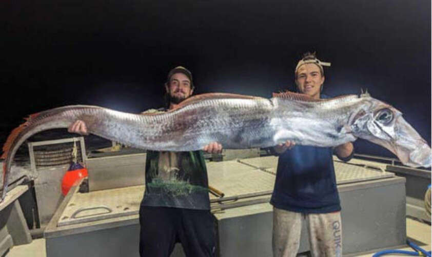 20 Mystical Animals That Prove Cryptozoology Isn't All Smoke and Mirrors