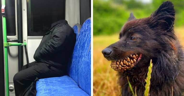 20 Optical Illusions Photos That Prove Your Eyes Can Play Serious ...