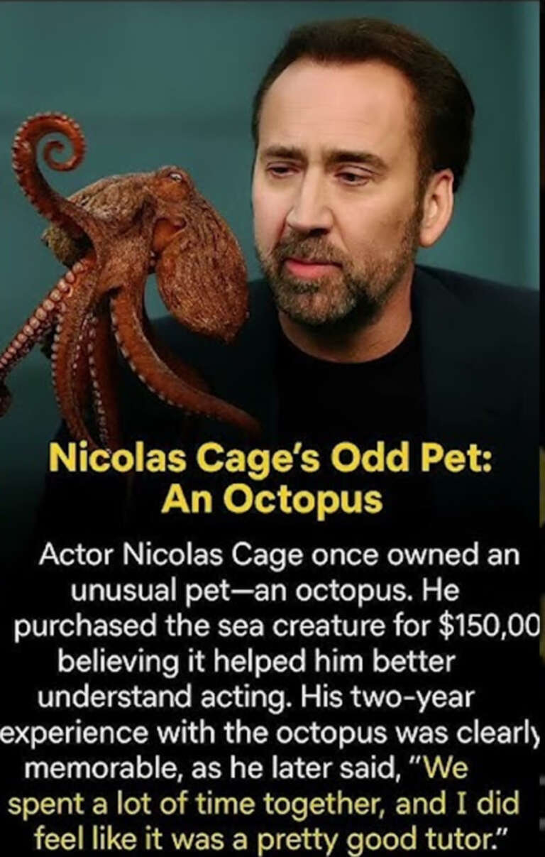 18 Exotic Animals Celebrities Actually Had as Pets