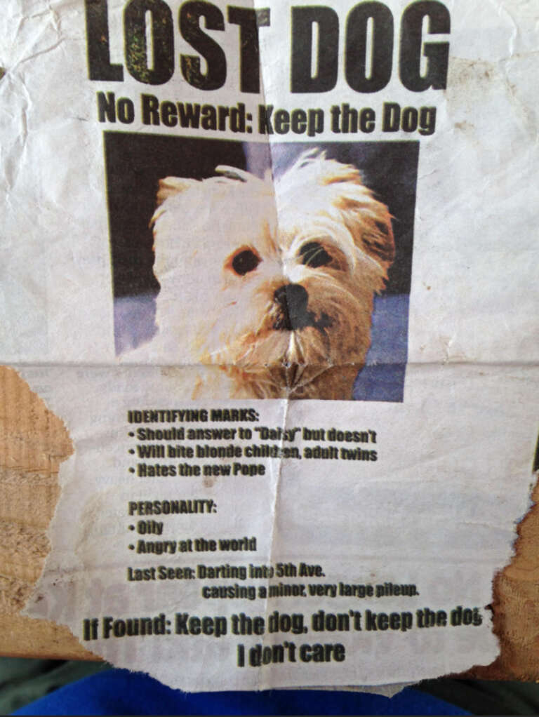 20 Lost Pet Posters That Got a Little Too Personal