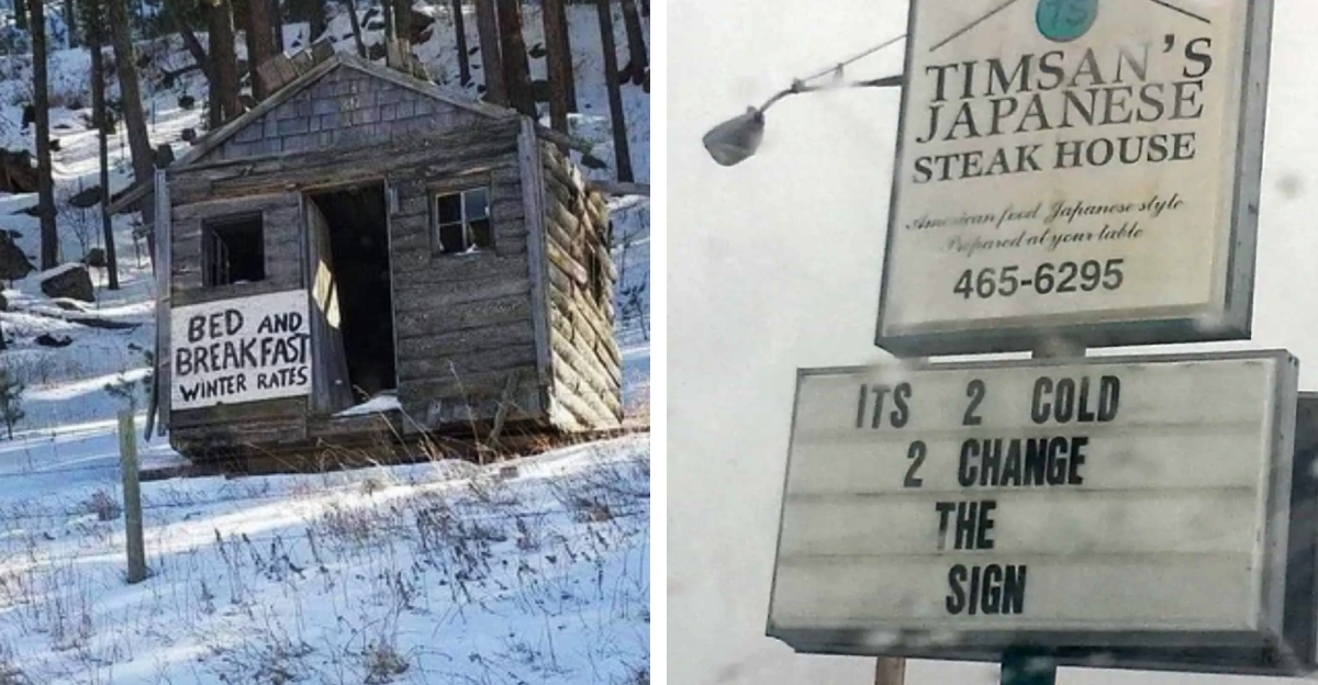 Winter Signs That Brought the Laughs