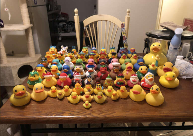 17 Strange Collections People Actually Have (and Proudly Show Off)