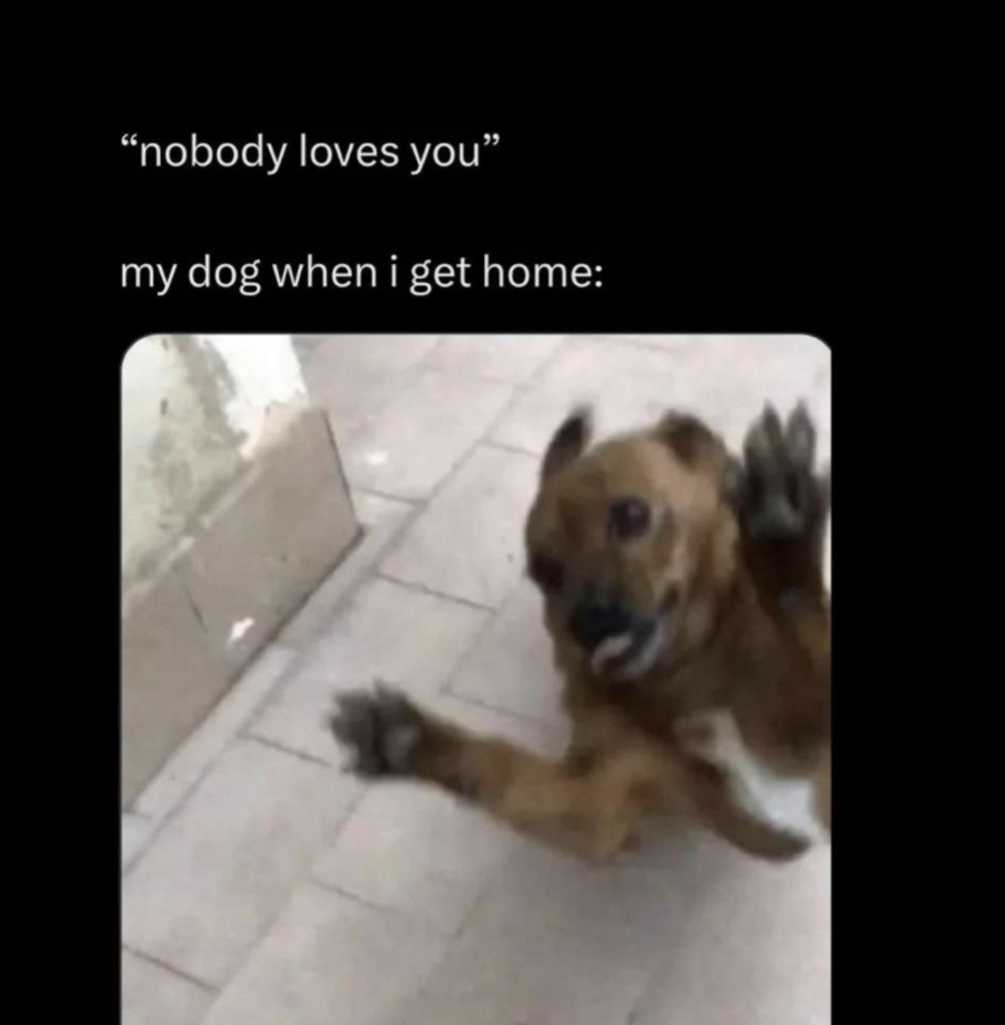 20 Wholesome humor moments to keep things light during the holidays