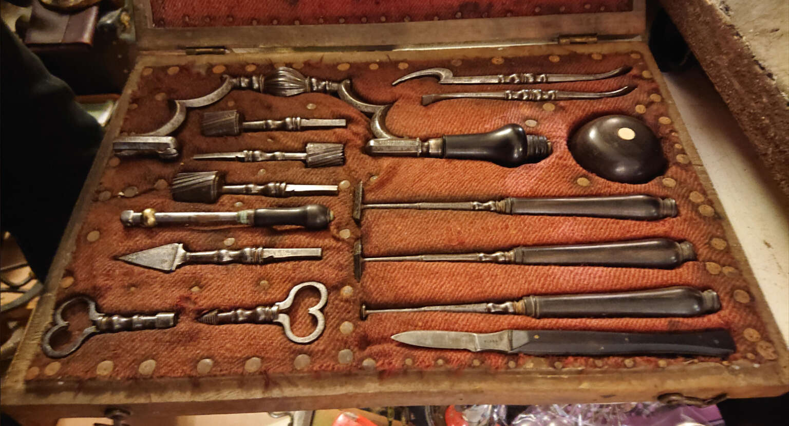 17 Strange Collections People Actually Have (and Proudly Show Off)
