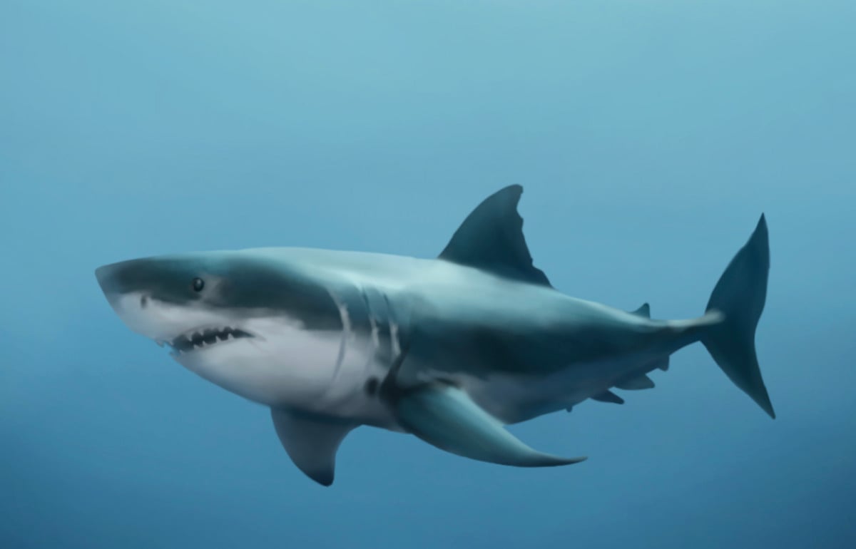 25 Fun Facts That Escalate Way Faster Than You’d Expect