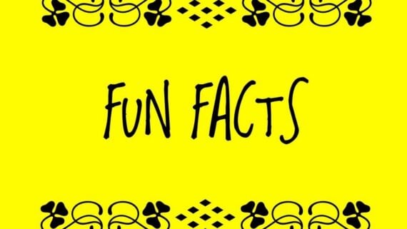 20 Fun Facts About Sleep