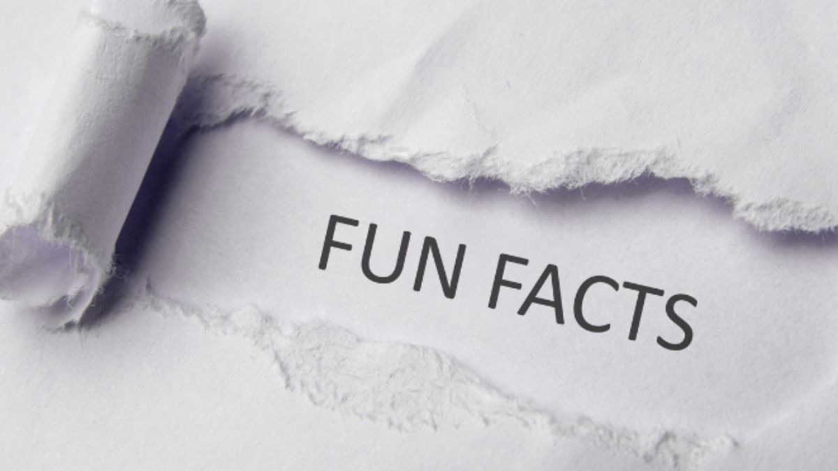 25 Fun Facts to Break Out at the Bar