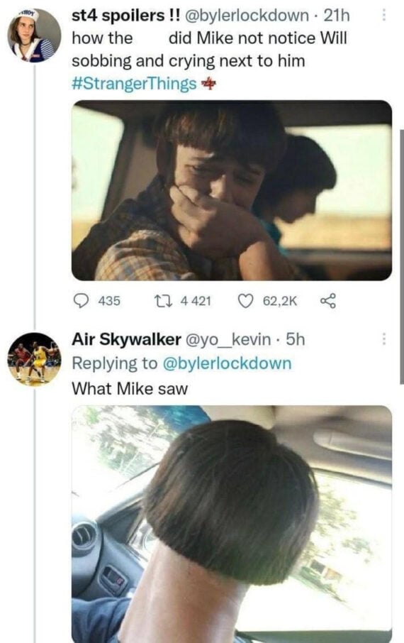 18 Stranger Things Memes That Check All The Boxes