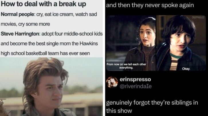18 Stranger Things Memes That Check All The Boxes
