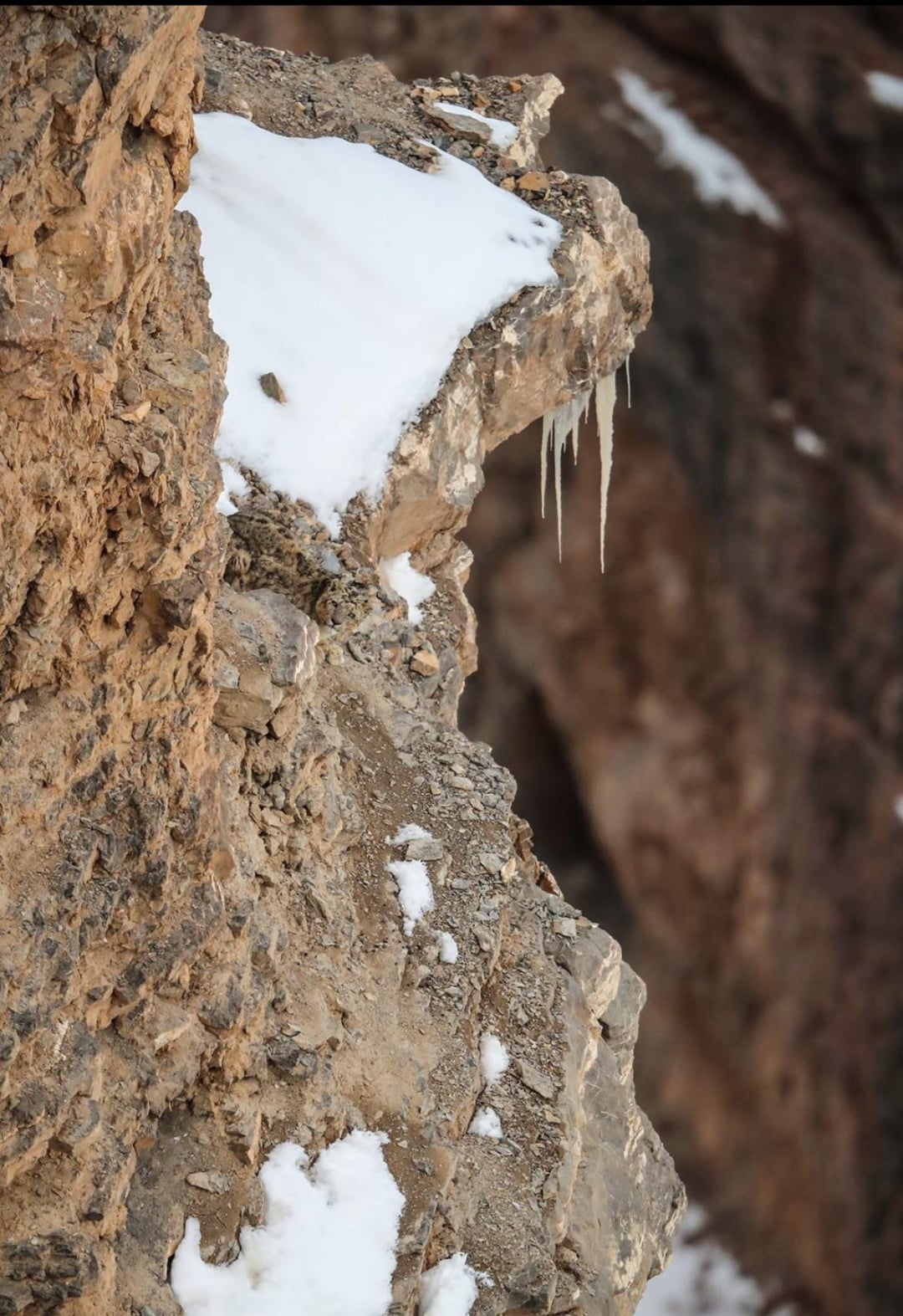 20 Eye Teasers That Hide Something In Plain Sight