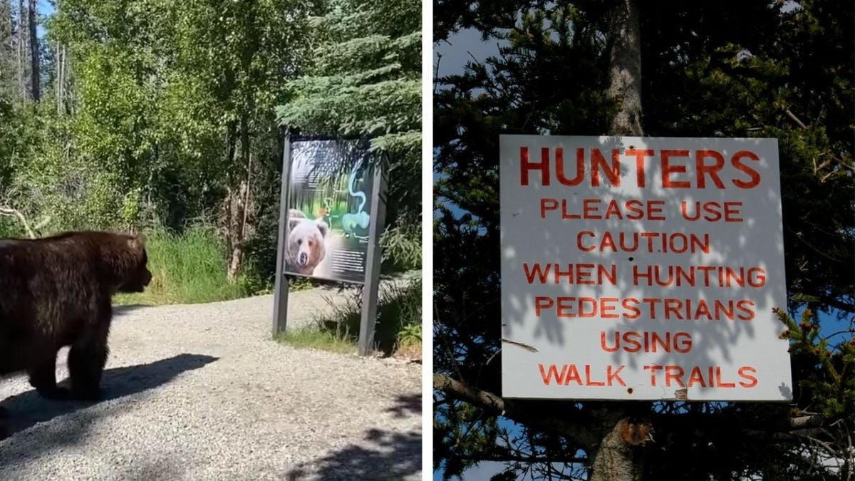 18 Funny Signs Found on Hiking Trails
